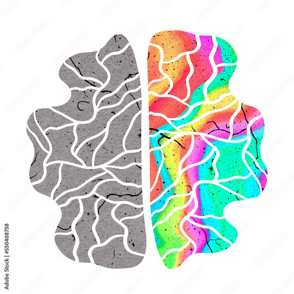 Left Brain Right Brain PNG Illustration Stock Illustration | Adobe Stock