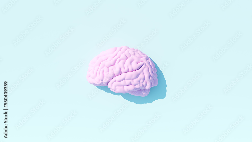 Pale Pink Human Brain Anatomy Neurology Mind Intelligence Think Medical Symbol Blue Background ...