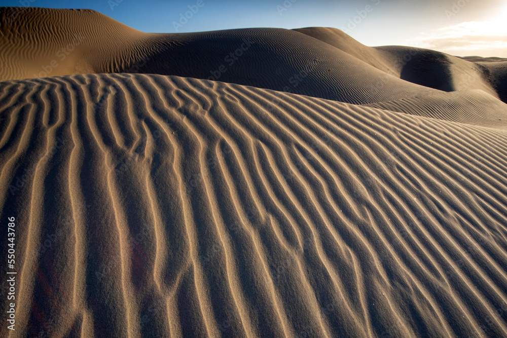 Oceano Dunes Natural Preserve and Oceano Dunes State Vehicular ...