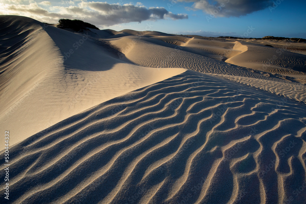 Oceano Dunes Natural Preserve and Oceano Dunes State Vehicular ...