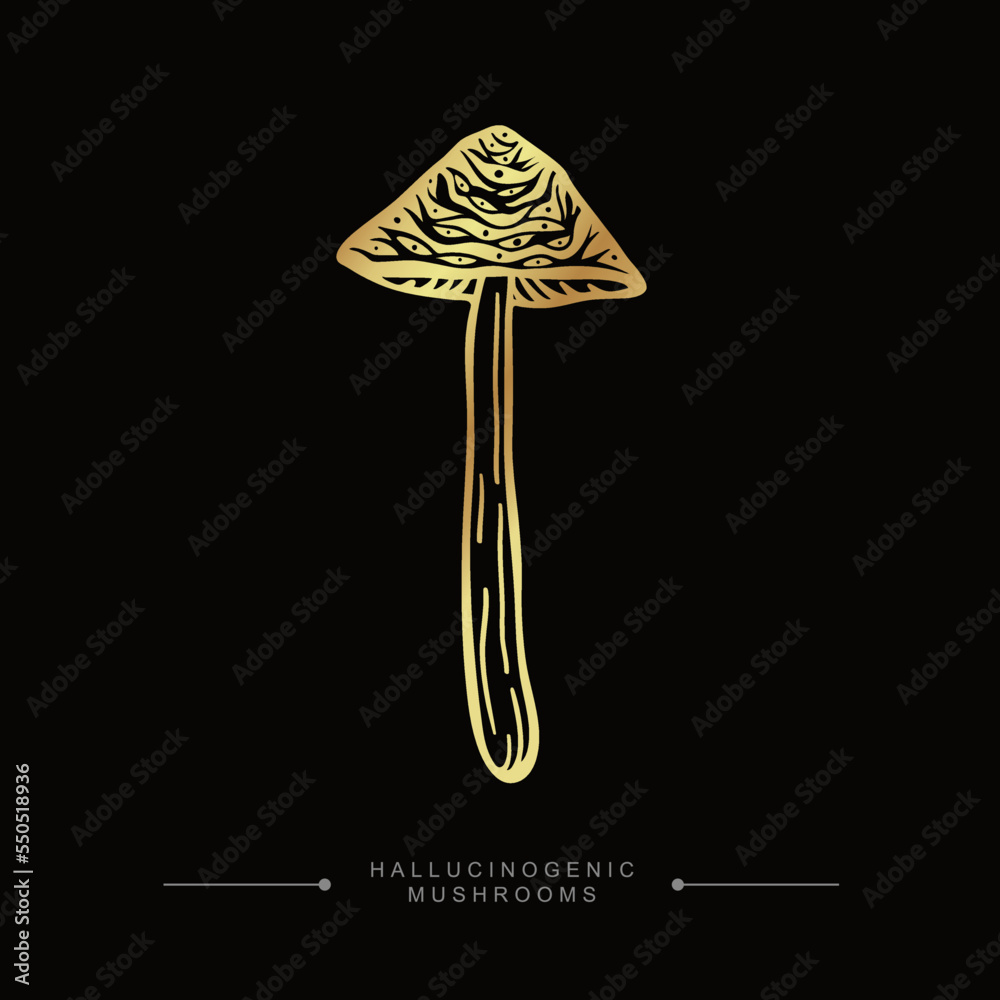 Golden drawing of a fly agaric psilocybin mushroom. Toxic magical ...