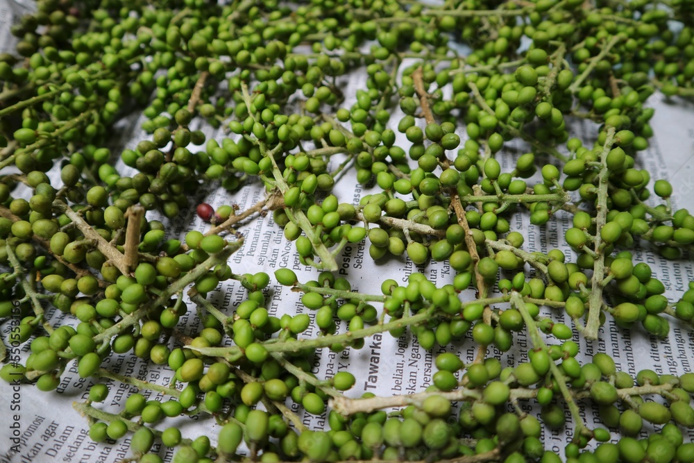 Green young Andaliman on the white background. Commonly known as Tuba ...