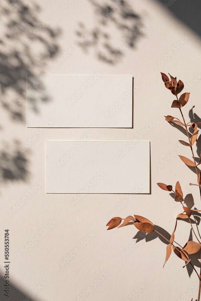 Layout of business card mockups with decorative dried twigs and overlay ...