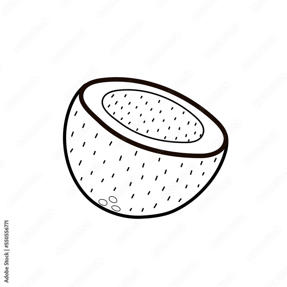 Coconut cut in half coloring page for adults and kids. Black and white ...