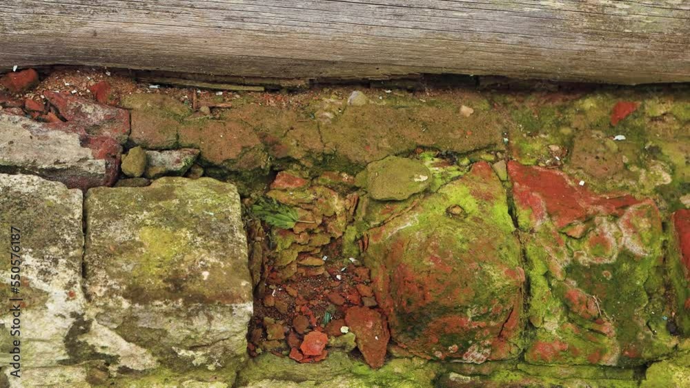 Brick foundation, remains of a destroyed wooden house. Abandoned ...