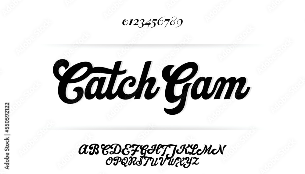 CATCH GAM Signature Font Calligraphy Logotype Script Brush Font Type ...