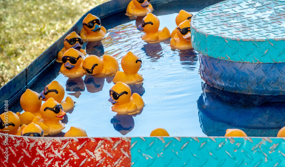 Fotka pick A Duck Game At A County Fair Choose A Floating Duck And fotka-pick-a-duck-game-at-a-county-fair-choose-a-floating-duck-and