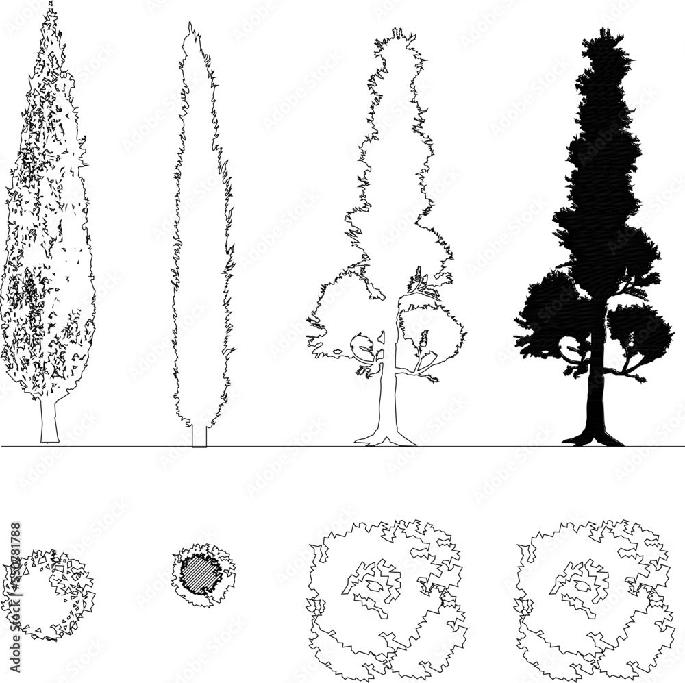 Vector sketch of trees side and top view with white background Stock ...