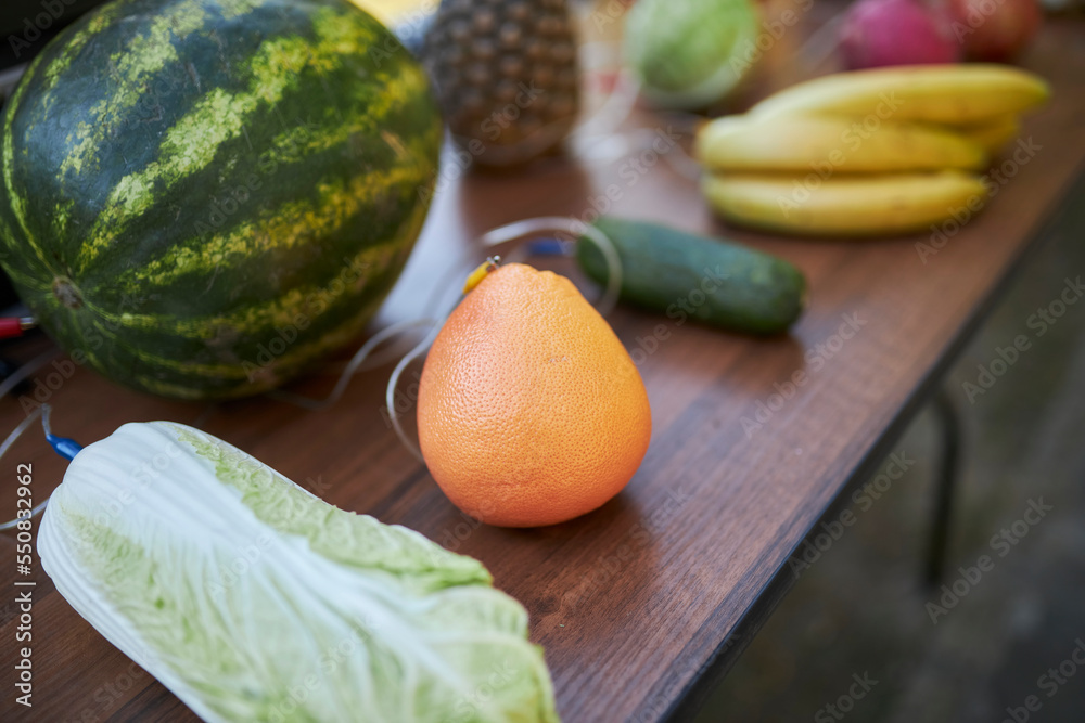 vegetables and fruits - musical instruments. vegetables and fruits are ...