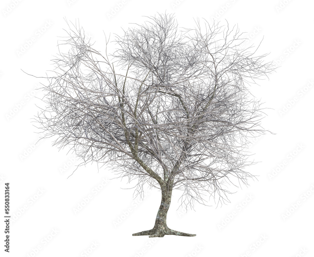 3d render : Tree trunk without leaves, PNG transparent for graphic ...