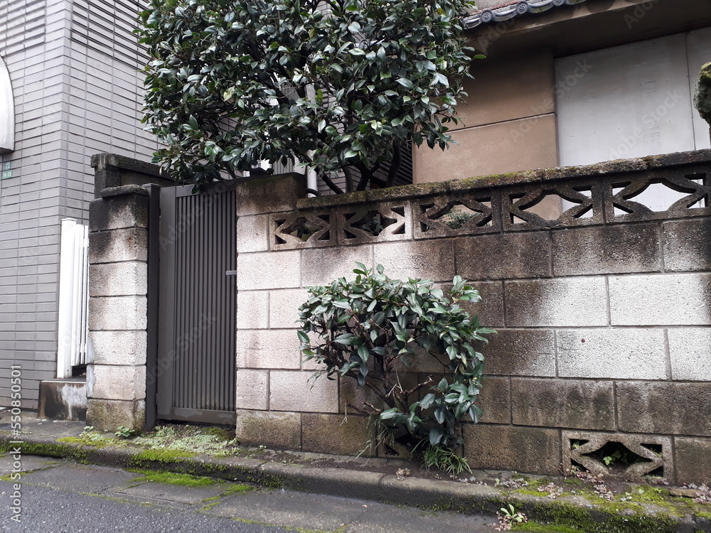 Typical japanese house that i see in a walk across the streets of tokyo ...