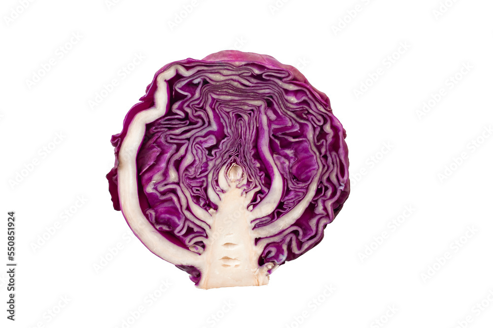 Top view cut in half of purple cabbage isolated on white background ...