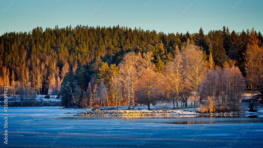 When spring is approaching in Sweden, nature comes to life, as well as ...