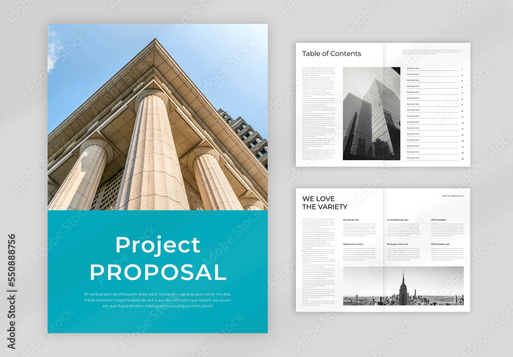 Project Proposal Brochure Stock Template | Adobe Stock