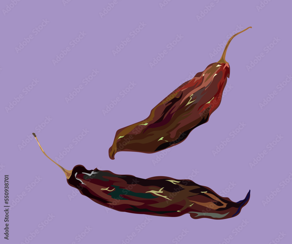 aji panca peruvian pepper vector illustration Stock Vector | Adobe Stock