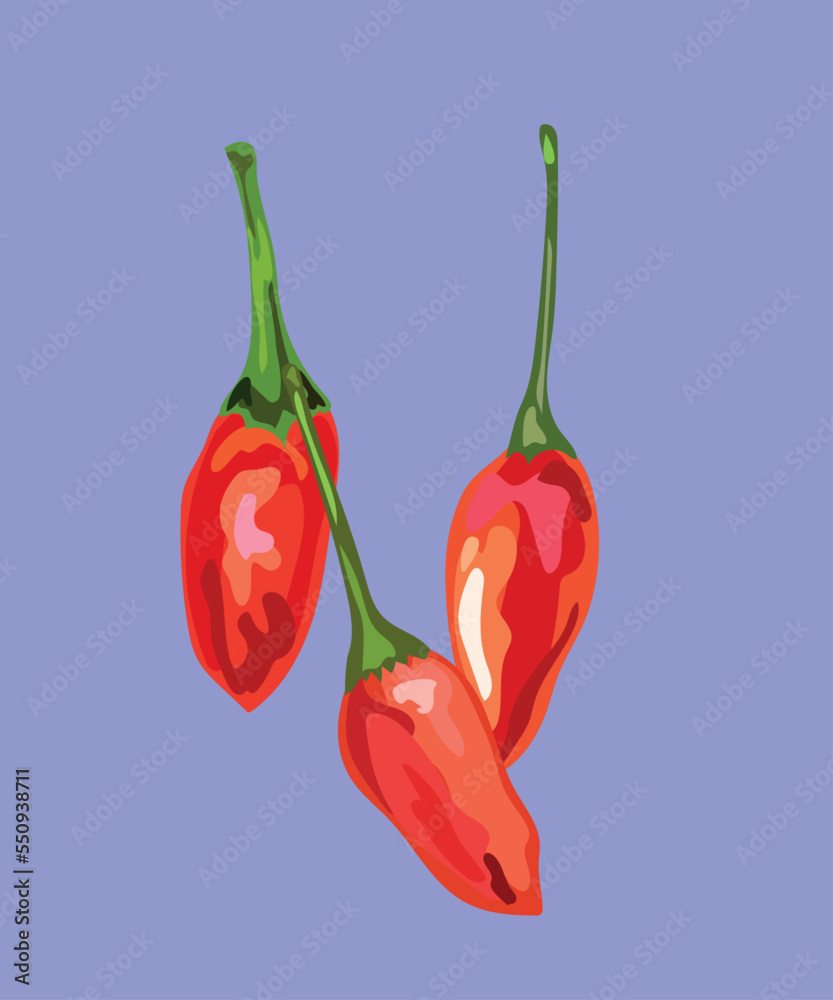 aji pipi de mono peruvian pepper vector illustration Stock Vector ...