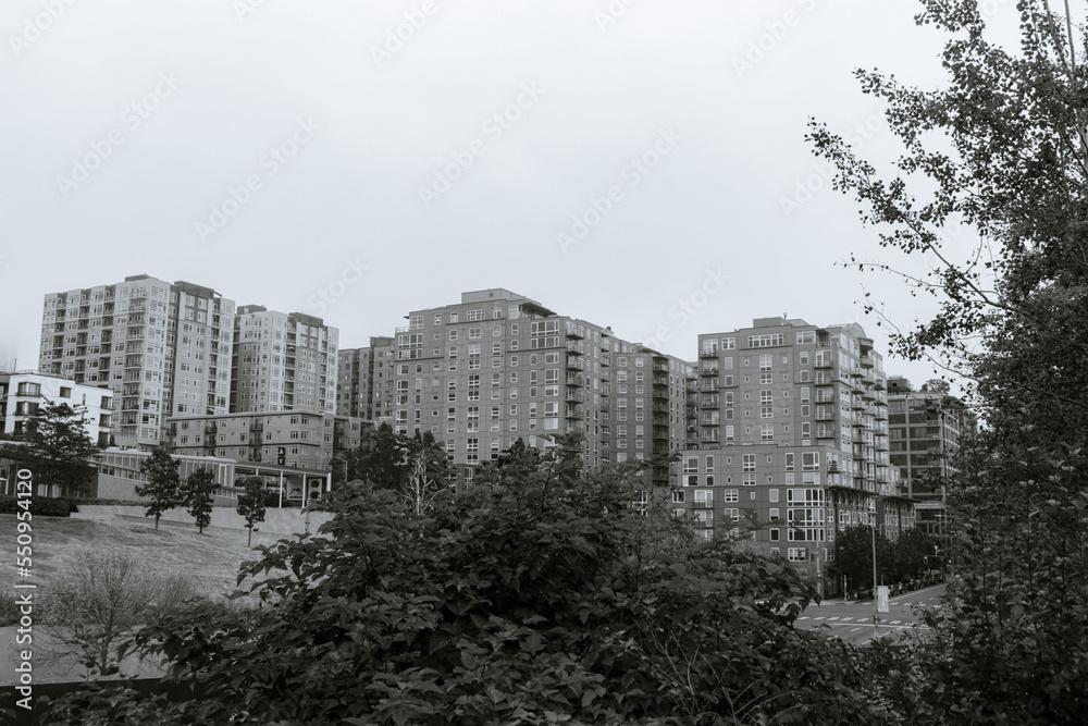 Black and white downtown Seattle skyline cityscape building viewed from ...