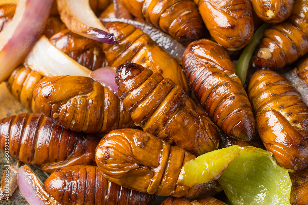 Stir-fried cocoon pupae is a special food in northeast China Stock ...