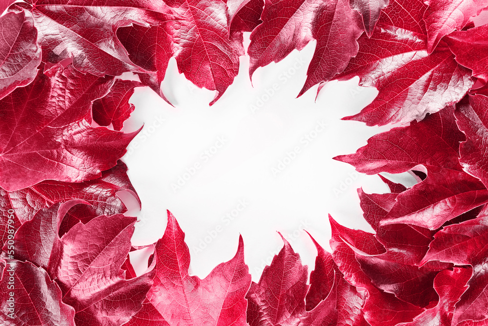 Color of the year 2023 Viva magenta. Frame with red decorative wild ...