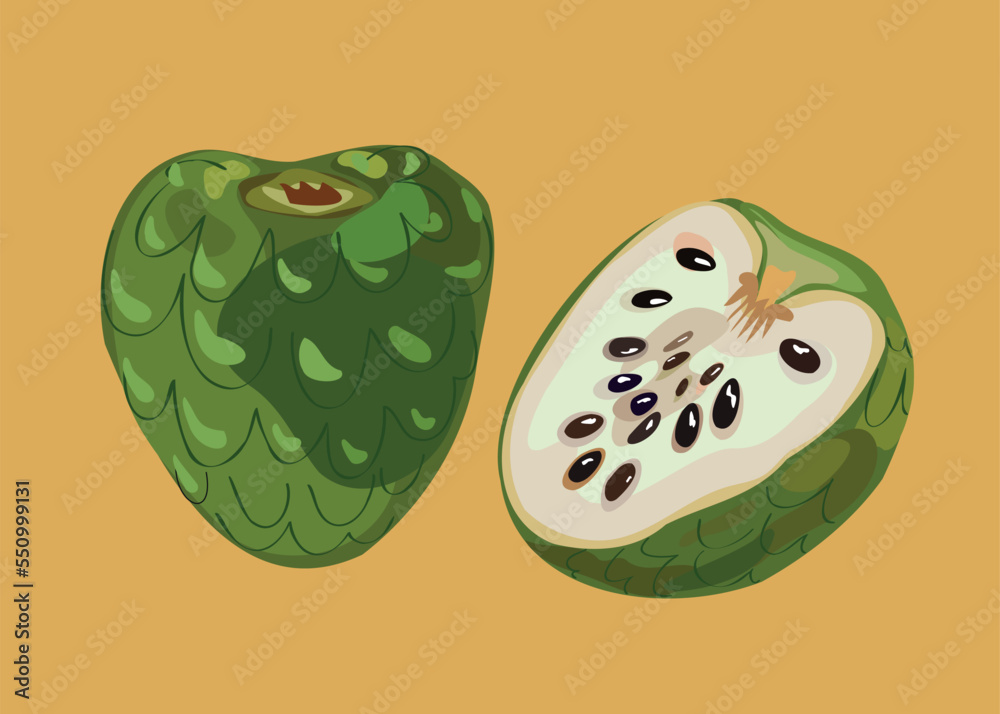 sugar apple peruvian fruit vector illustration Stock Vector | Adobe Stock