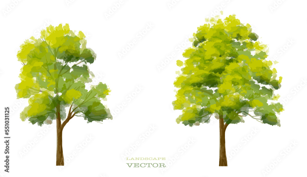 Vector watercolor of tree side view isolated on white background for ...