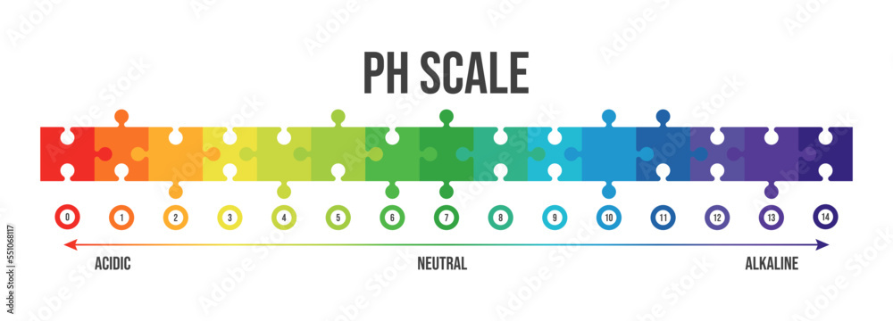 Vector illustration of pH scale isolated on white background. Color pH ...