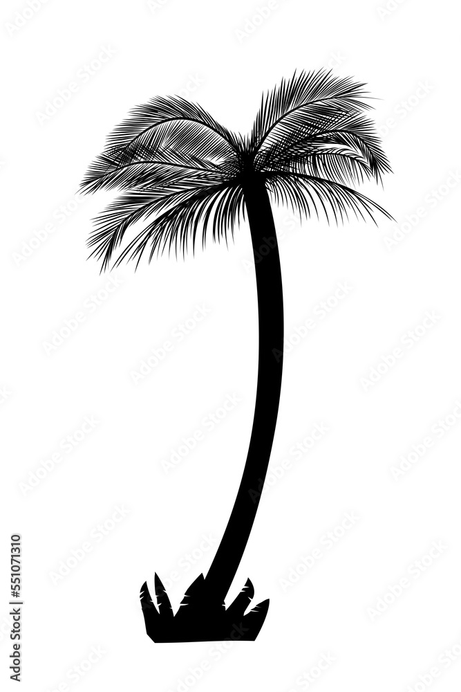 Abstract black coconut or palm tree overlay on transparent background ...