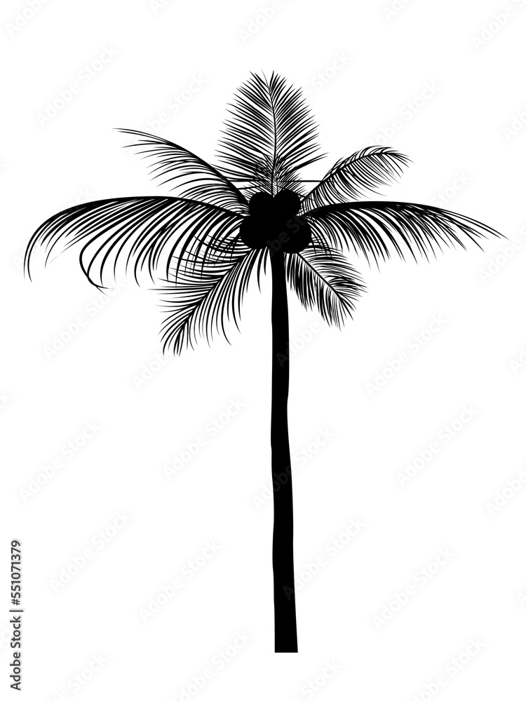 Abstract black coconut or palm tree overlay on transparent background ...