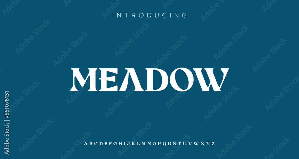 MEADOW Minimal luxury typo Font and Modern tech Typography urban style ...