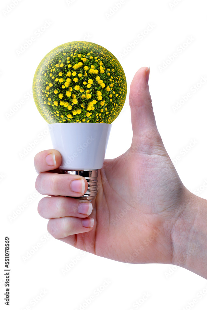 Hand holding bulb isolated on a transparent background, PNG. Stock ...