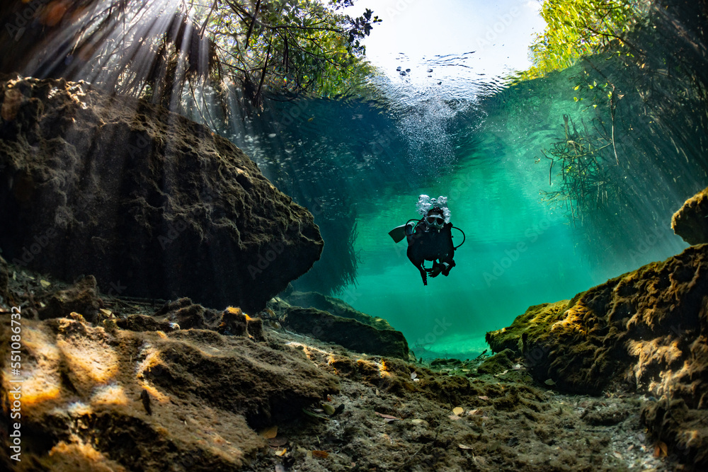cave diver instructor leading a group of divers in a mexican cenote ...