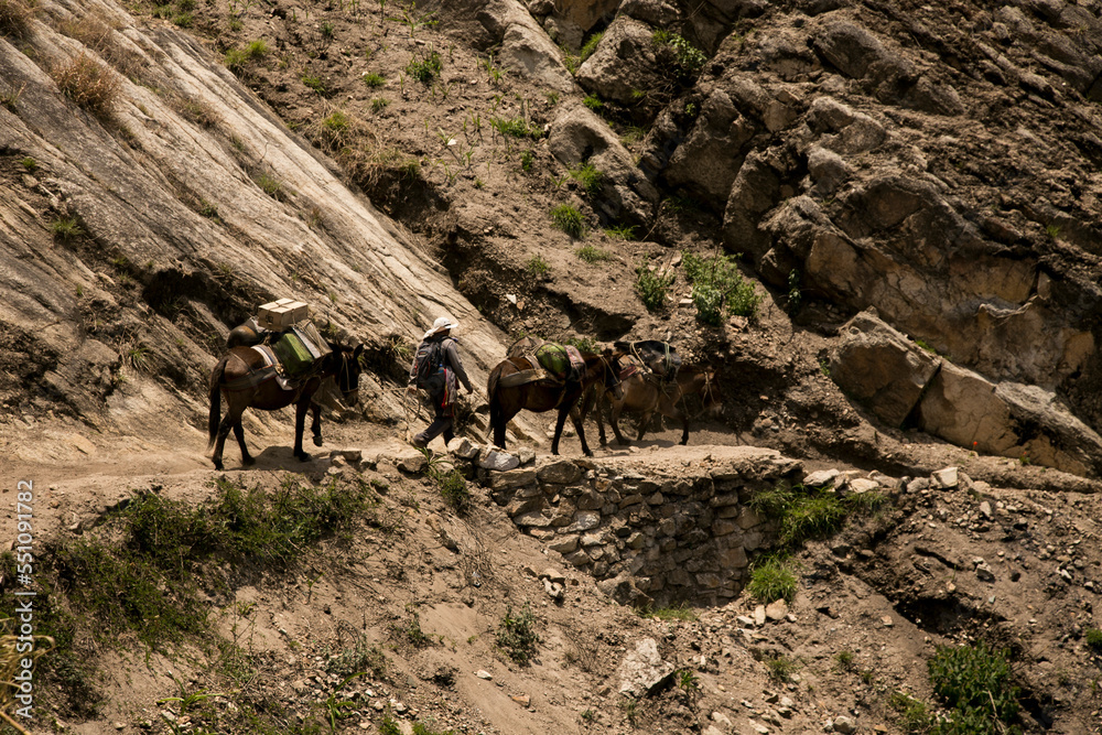 Horses carrying food and drinks to the towns. Hike through the Apurímac ...