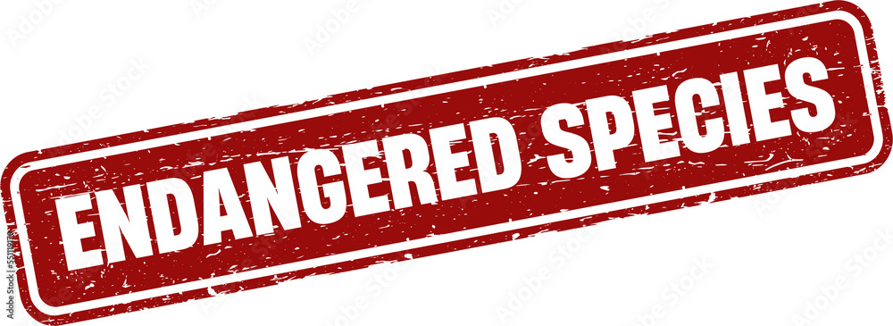 ENDANGERED SPECIES grunge rubber stamp. Vintage old red color texture ...