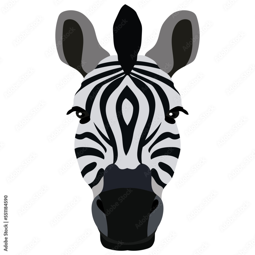 Zebra head, Animal face isolated on white background vector ...