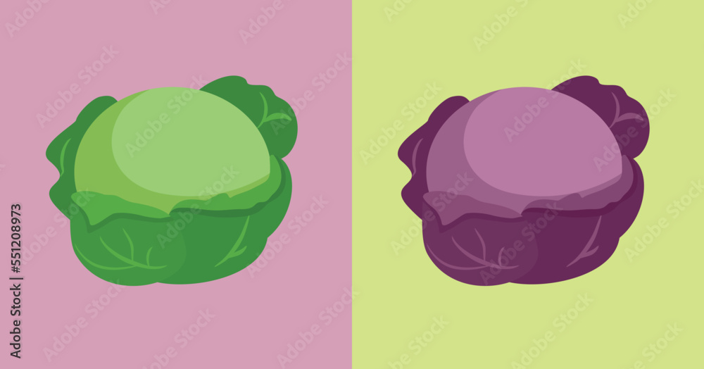 Cartoon Red Cabbage