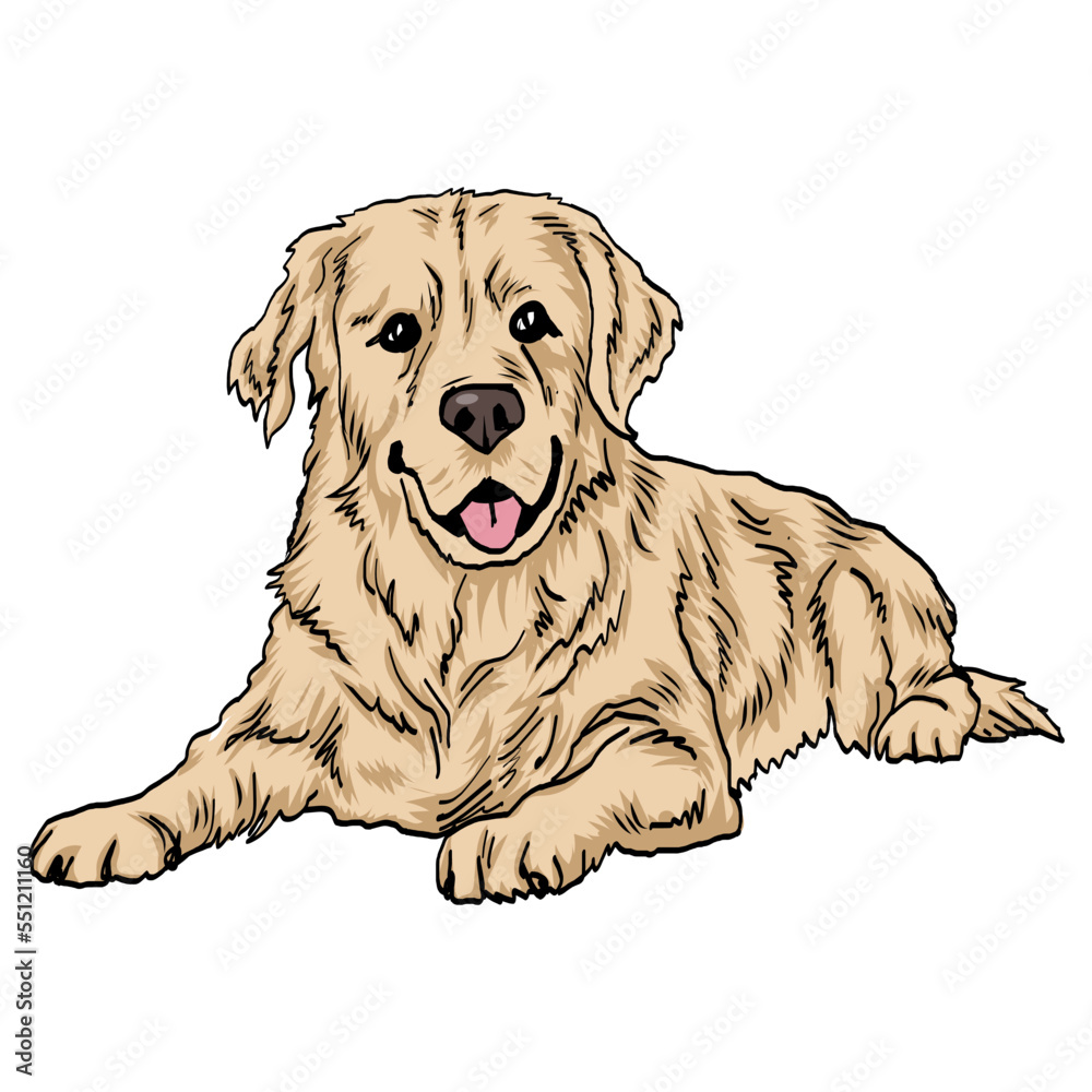 Golden Retriever Puppy Dog Laying Vector Drawing Illustration Cartoon ...