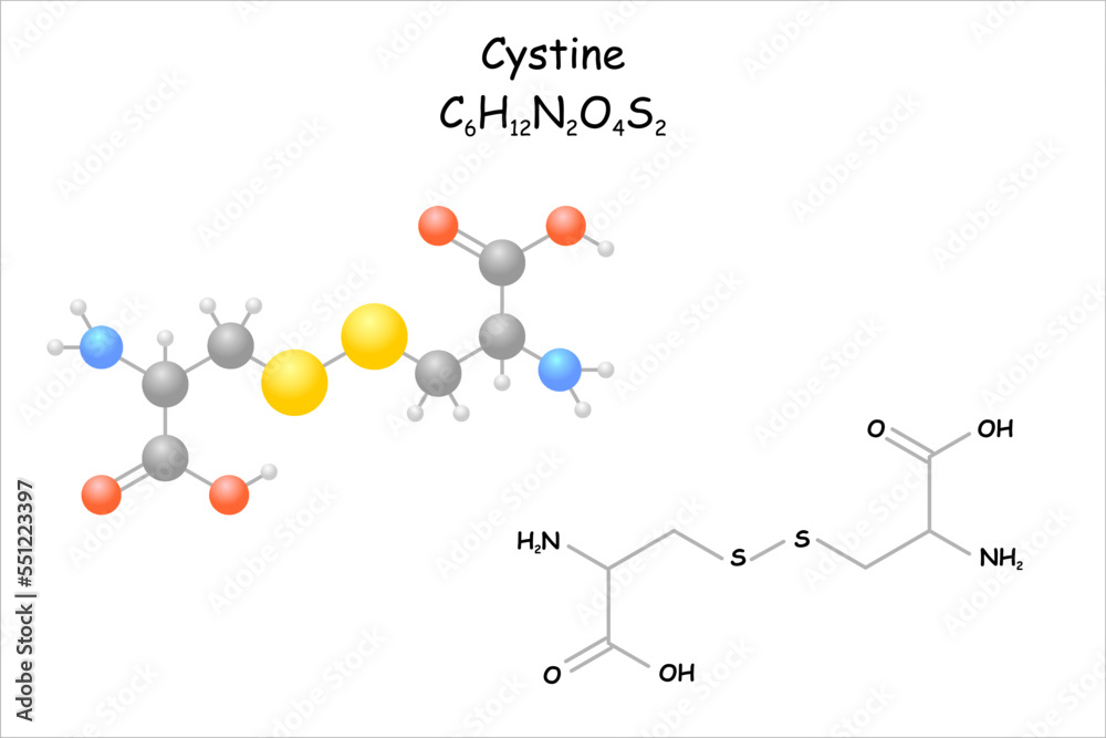 Stylized molecule model/structural formula of cystine. Stock Vector ...