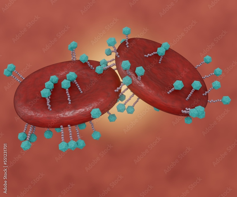 Loading drugs or nanodrugs into the carrier Red Blood Cells (RBC ...