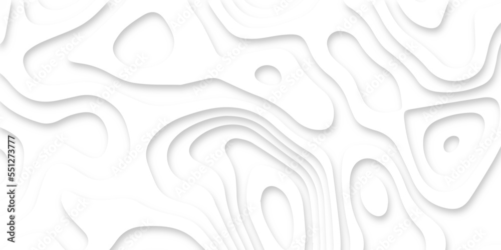 Abstract wavy line 3d paper cut white background. Topographic canyon ...