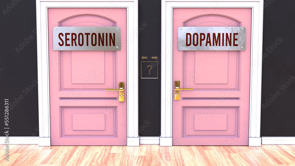 Serotonin or Dopamine - making decision by choosing either one option. Two alaternatives shown ...