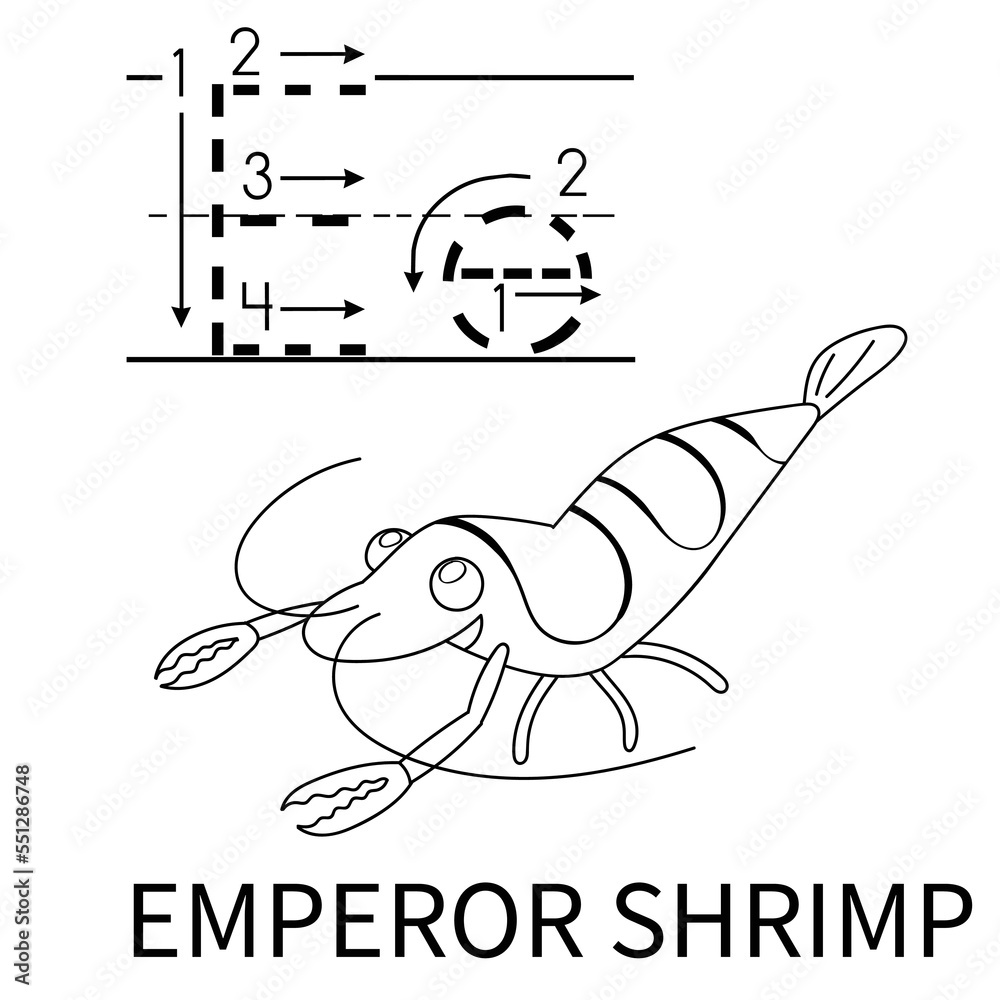 Cute Sea Animal Alphabet Series. E is for emperor shrimp. Vector ...