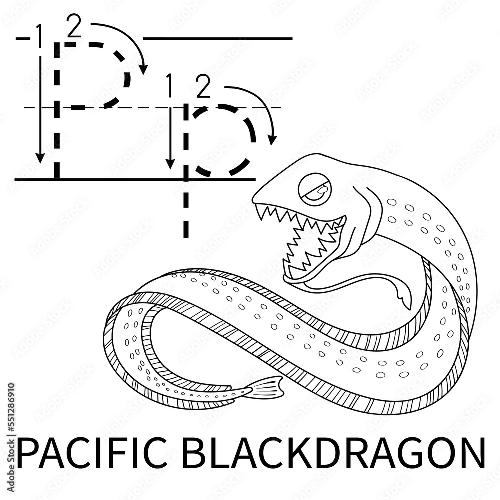 Cute Sea Animal Alphabet Series. P is for Pacific Blackdragon. Vector ...