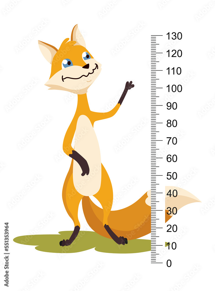 Height measure with growth ruler chart with cute cartoon fox animal ...