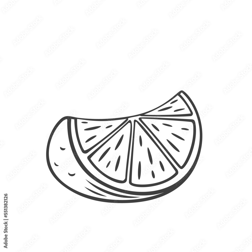 Lemon wedge line icon vector illustration. Hand drawn outline slice of tropical fruit, citrus ...