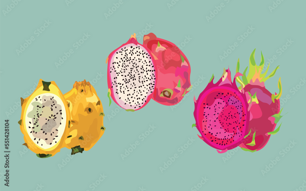 dragon fruit vector illustration Stock Vector | Adobe Stock