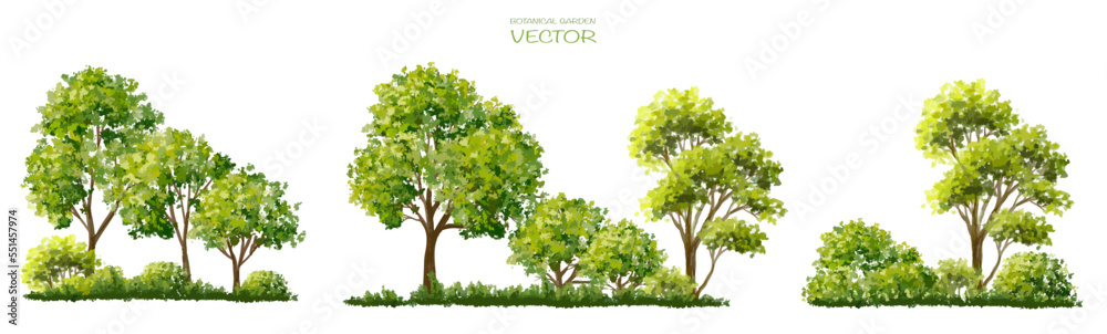 Abstract vector watercolor ,tree or forest side view isolated on white ...