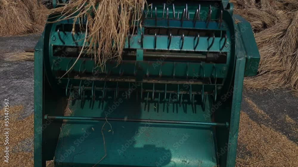 A farmer operates a paddy threshing machine. It is a foot-operated ...