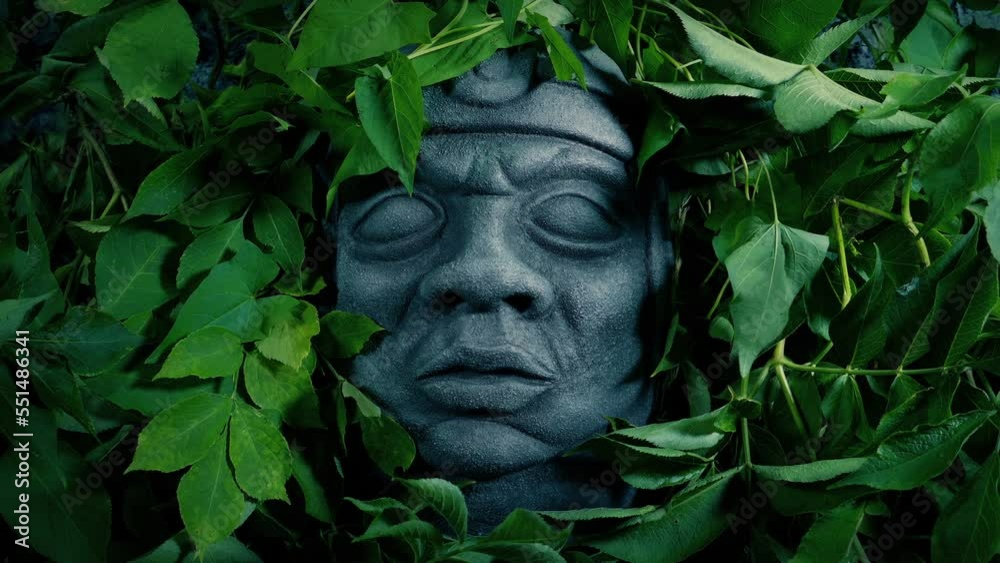 Ancient Stone Head Revealed Man Pulls Back Jungle Plants Stock ビデオ ...