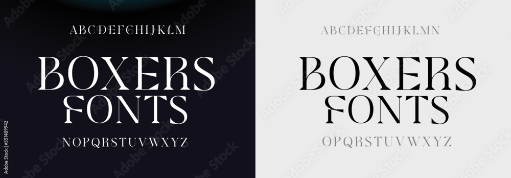 BOXERS FONTS modern, luxury and tech alphabets letter set design ...