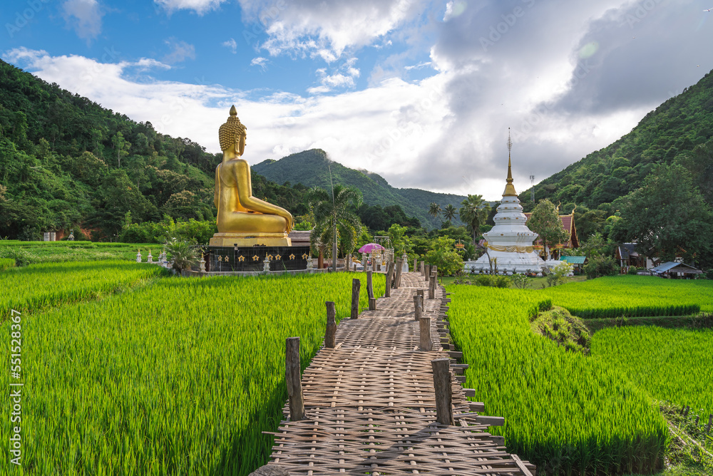Foto de Buddha statue and white pagoda locate at the plantation of ...